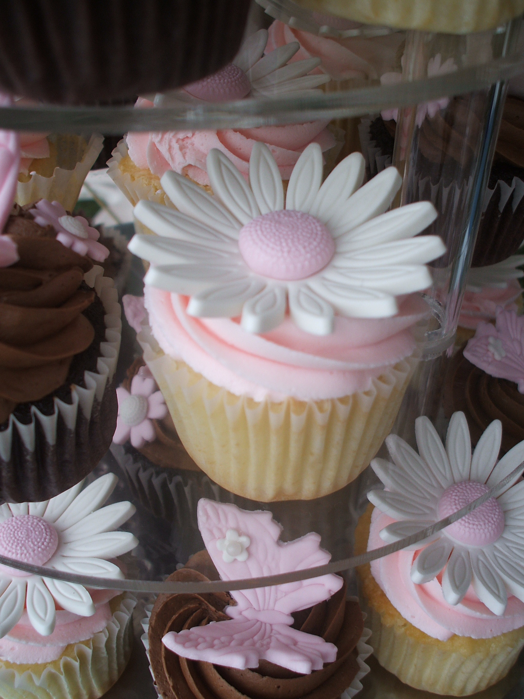 Daisies and Butterflies | Sweetopia