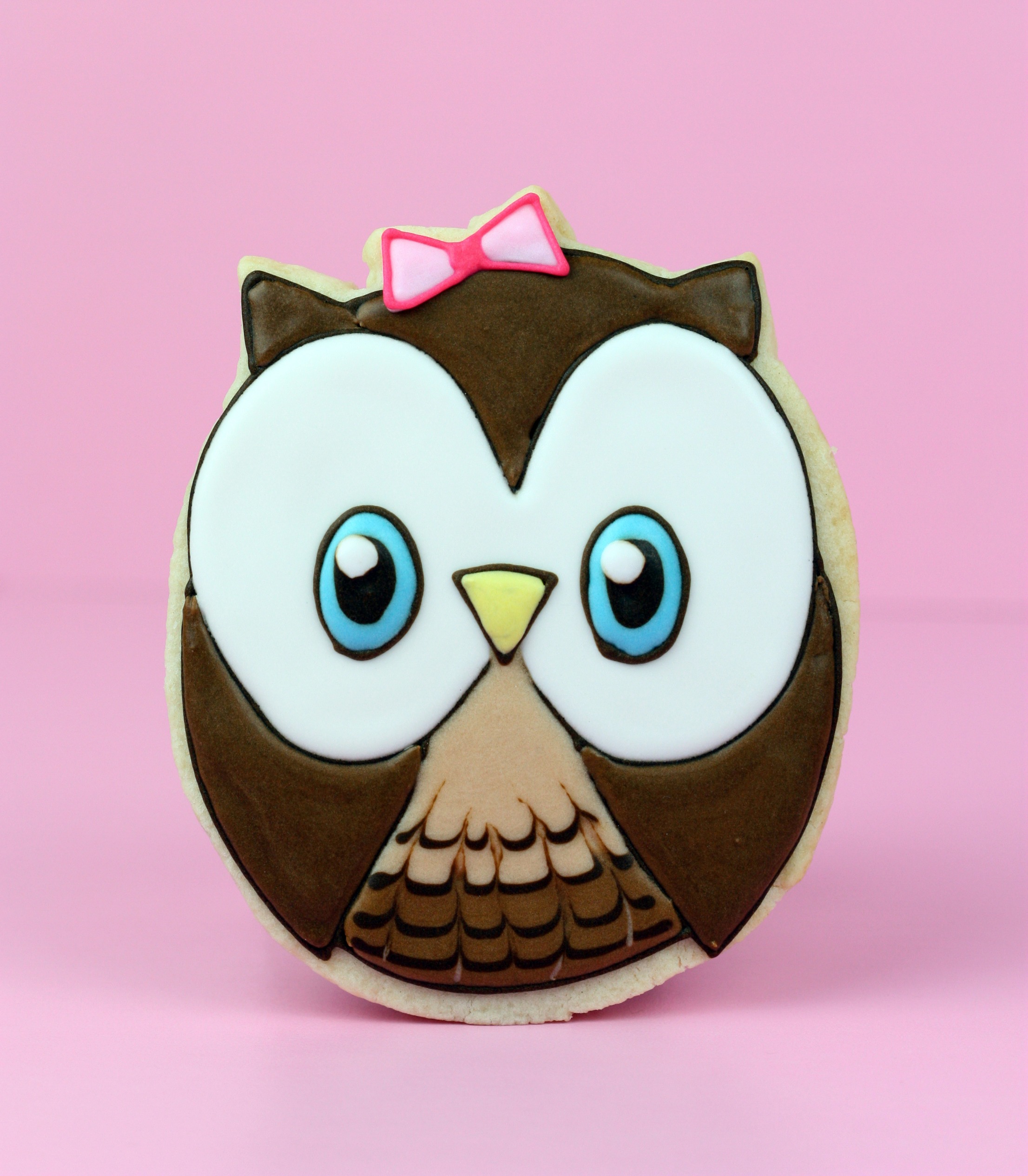 1st Birthday Owl Cookie Favours | Sweetopia