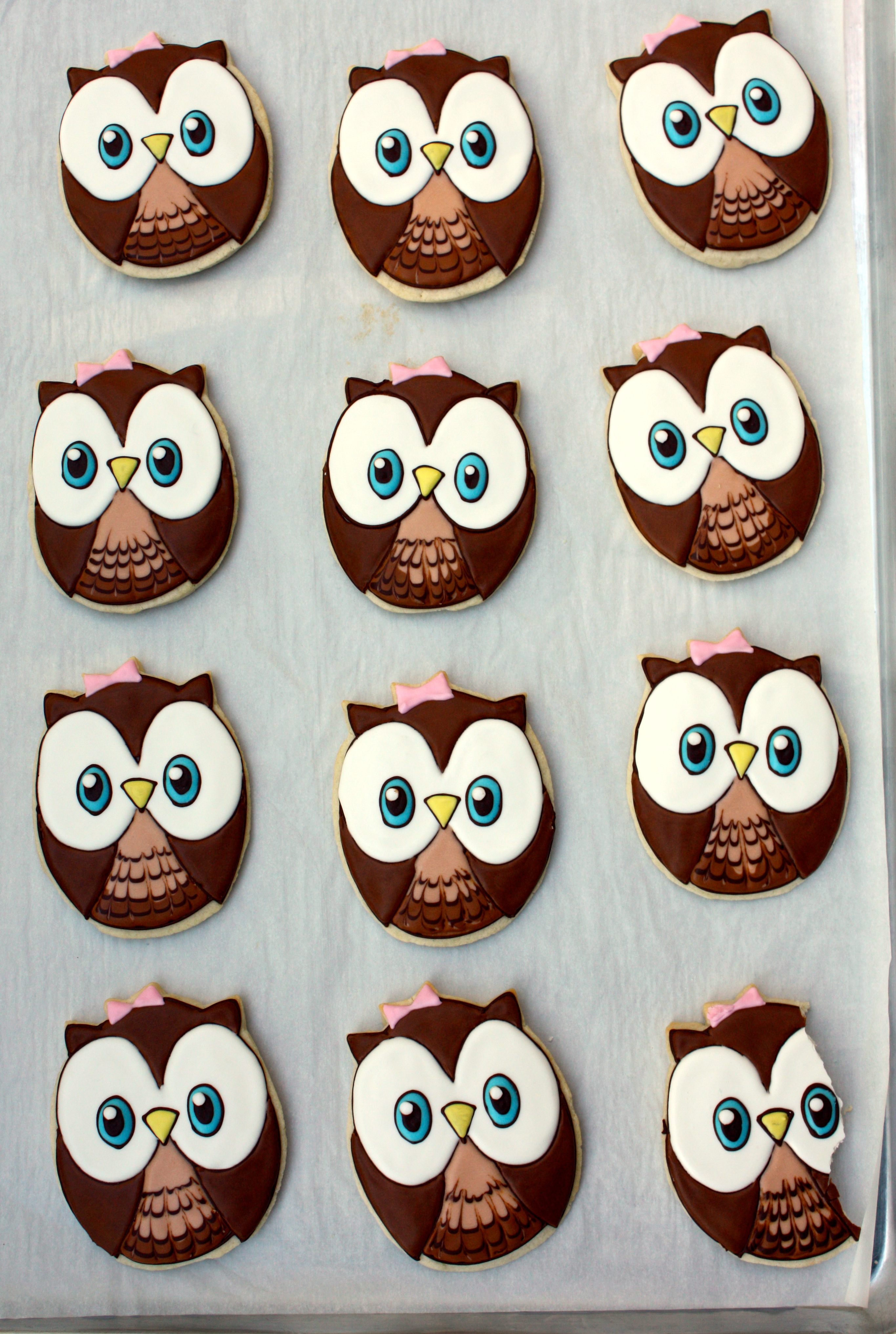 1st Birthday Owl Cookie Favours | Sweetopia
