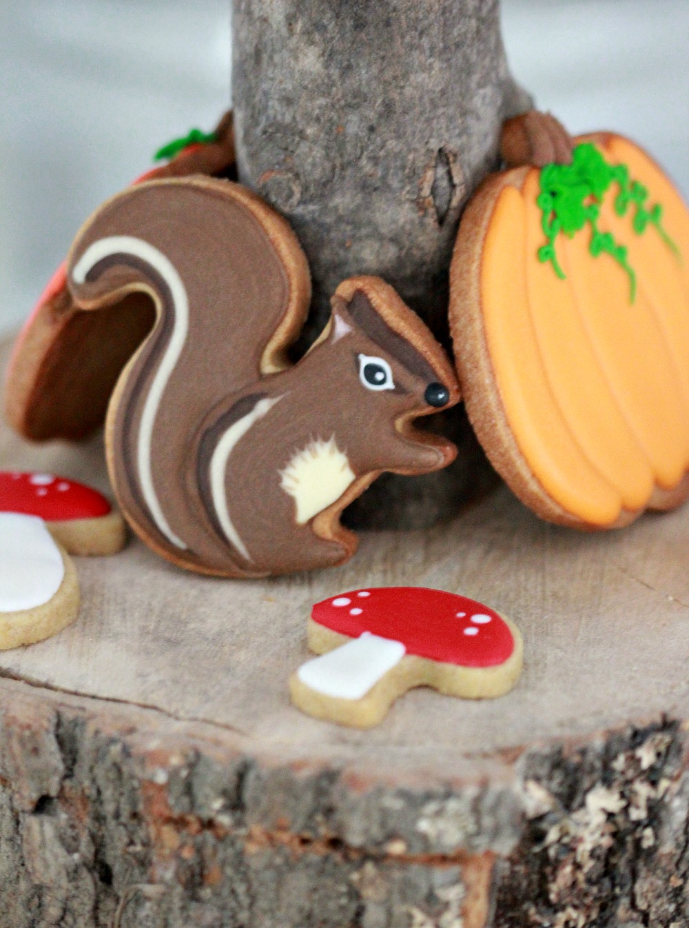 {Video} How to Decorate Squirrel or Chipmunk Cookies