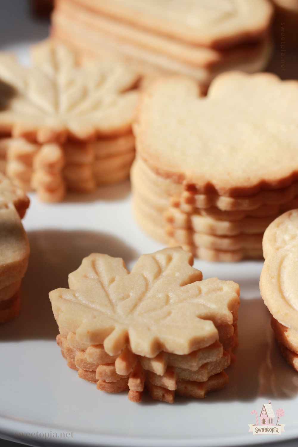 Spiced Apple Cut Out Cookie Recipe and Fall Cookie Decorating Tutorial ...