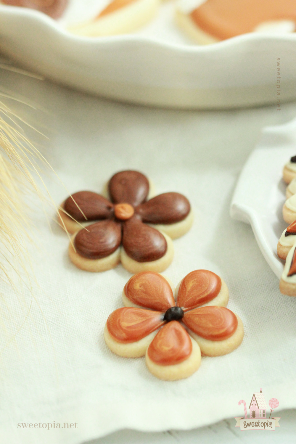 Autumn Cookies & Favorite Brown Gel Colors